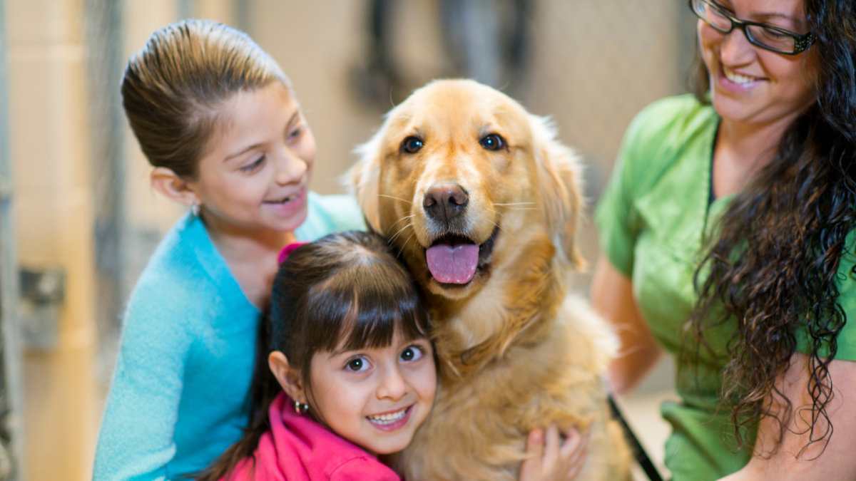 A Guide to Responsible Pet Adoption - The Pet Clinic